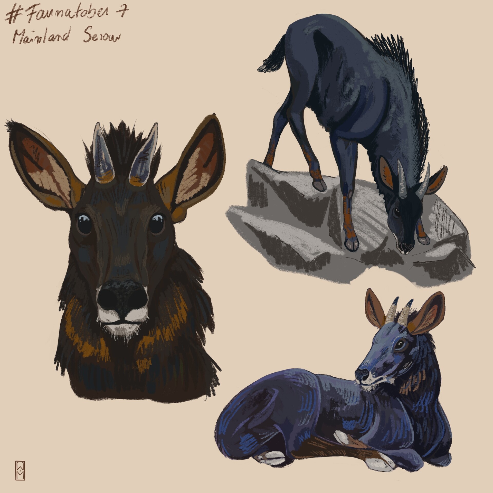 ArtStation - Mainland Serow