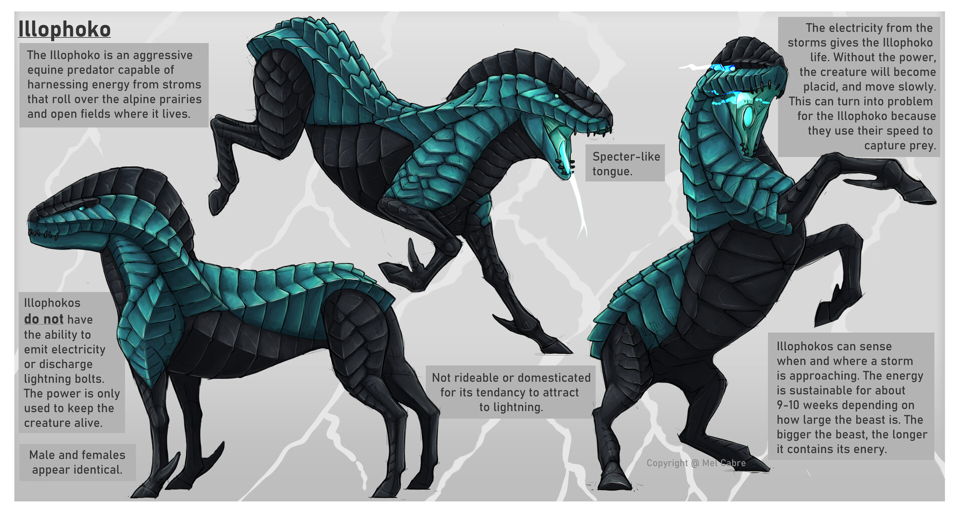 ArtStation - Original Creature Design: Illophoko