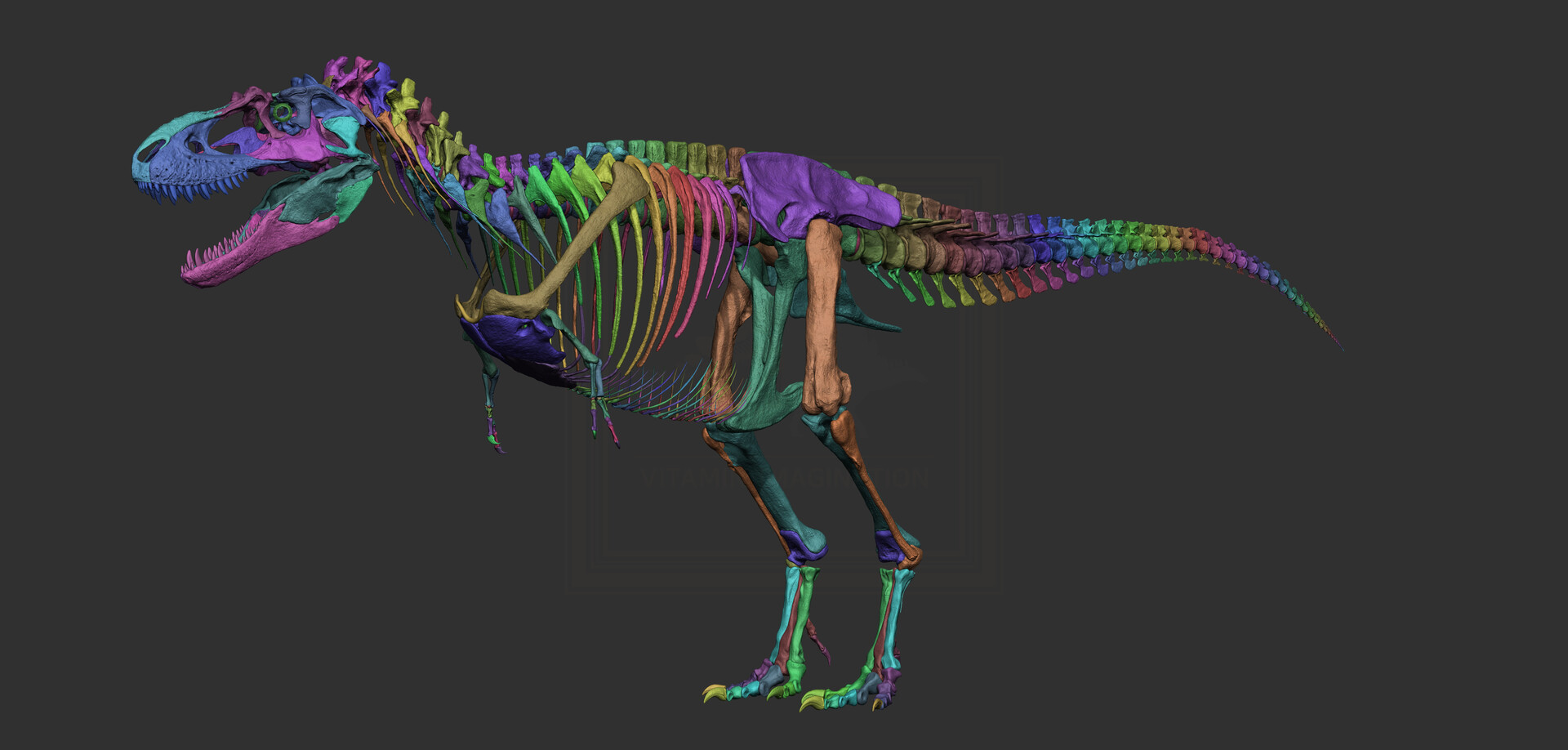 Albertosaurus Sarcophagus Skeleton