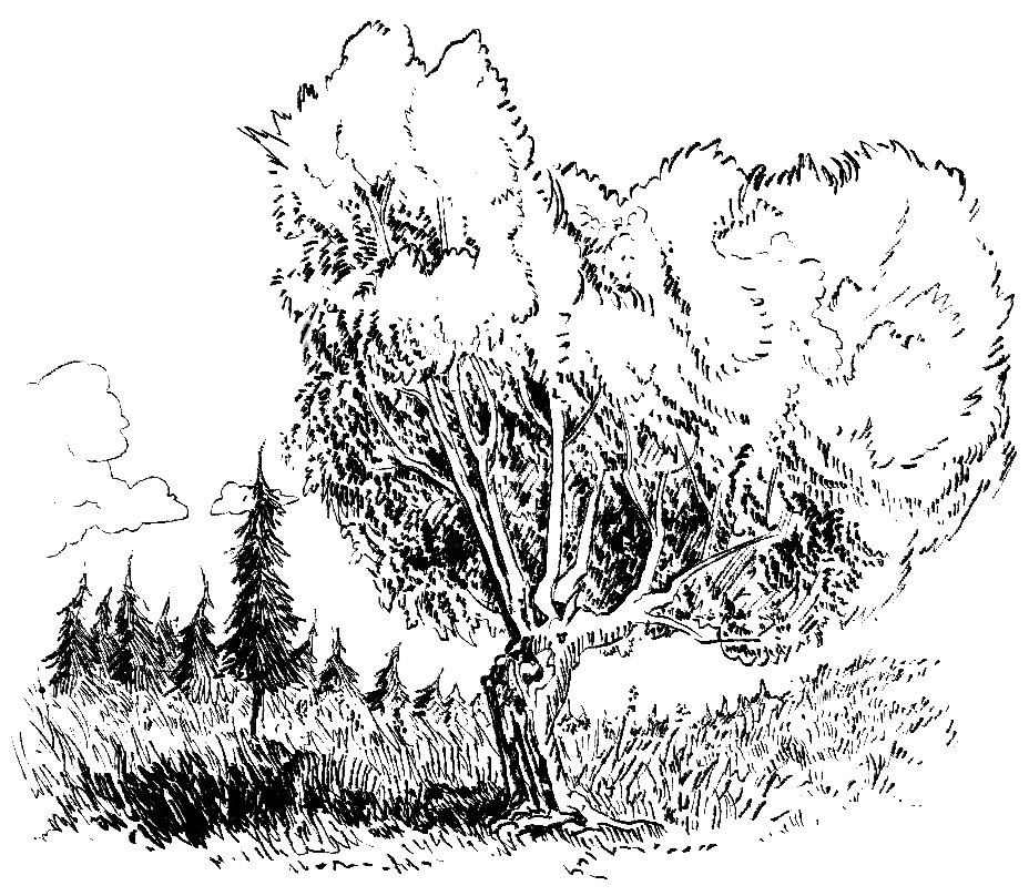 ArtStation - BADTOBER drawings