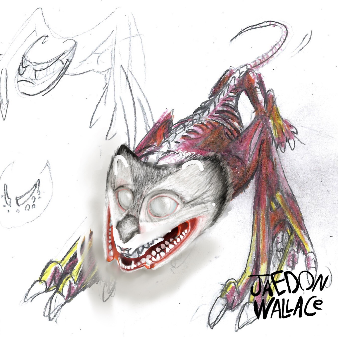 Jaedon Wallace - Opossum Cat (Monster Cat)