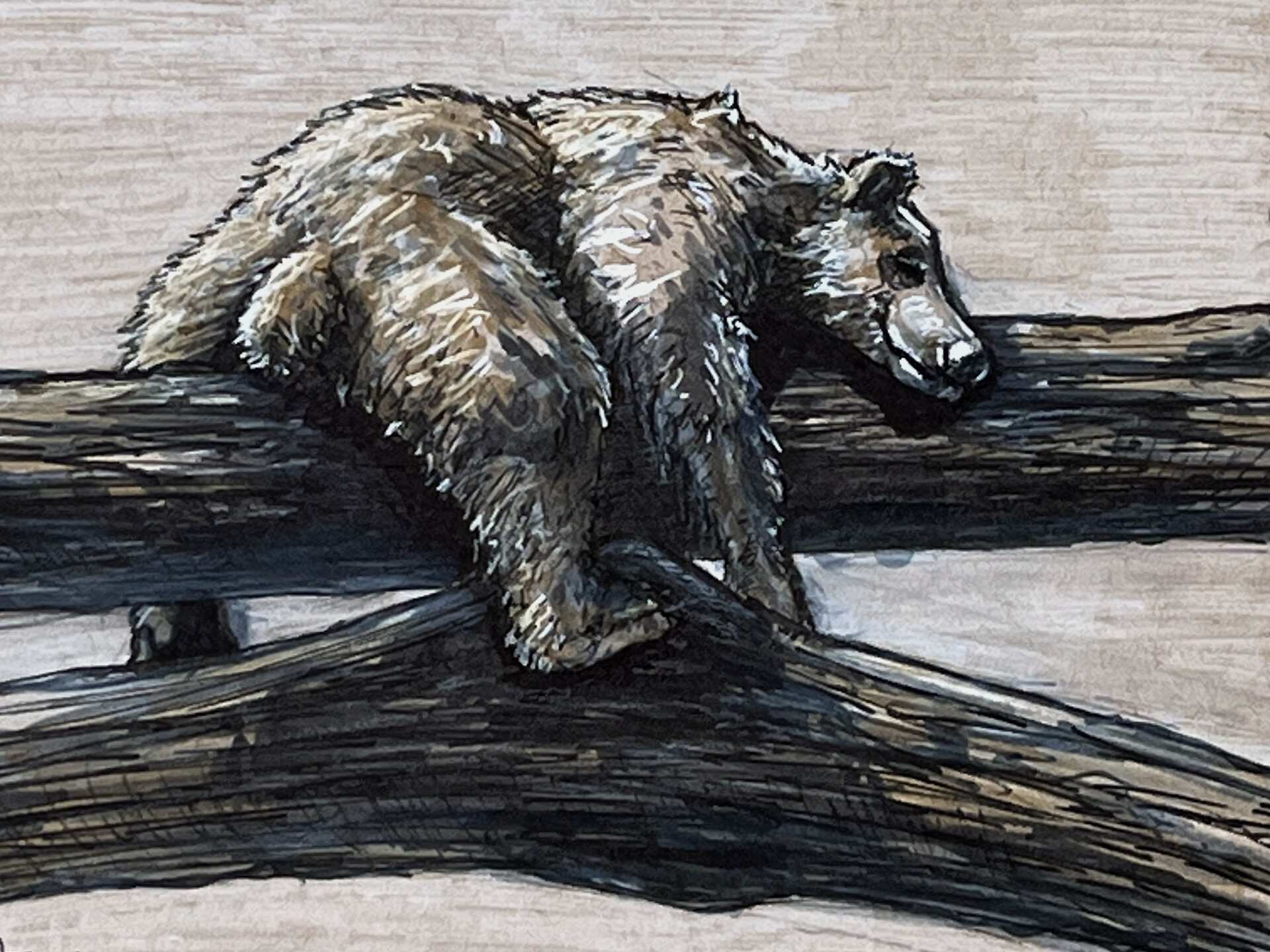 ArtStation - Bear on a log