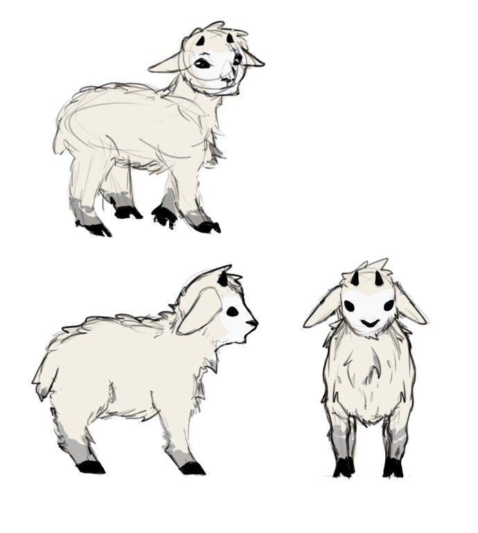 lamb drawing reference