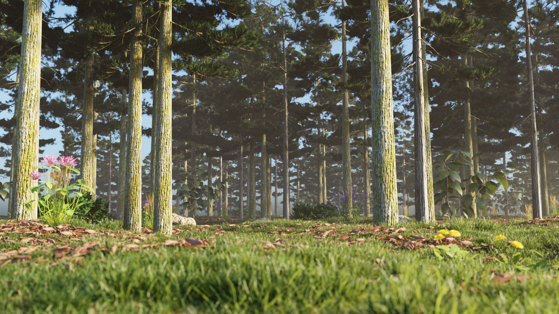 ArtStation - Forest Render