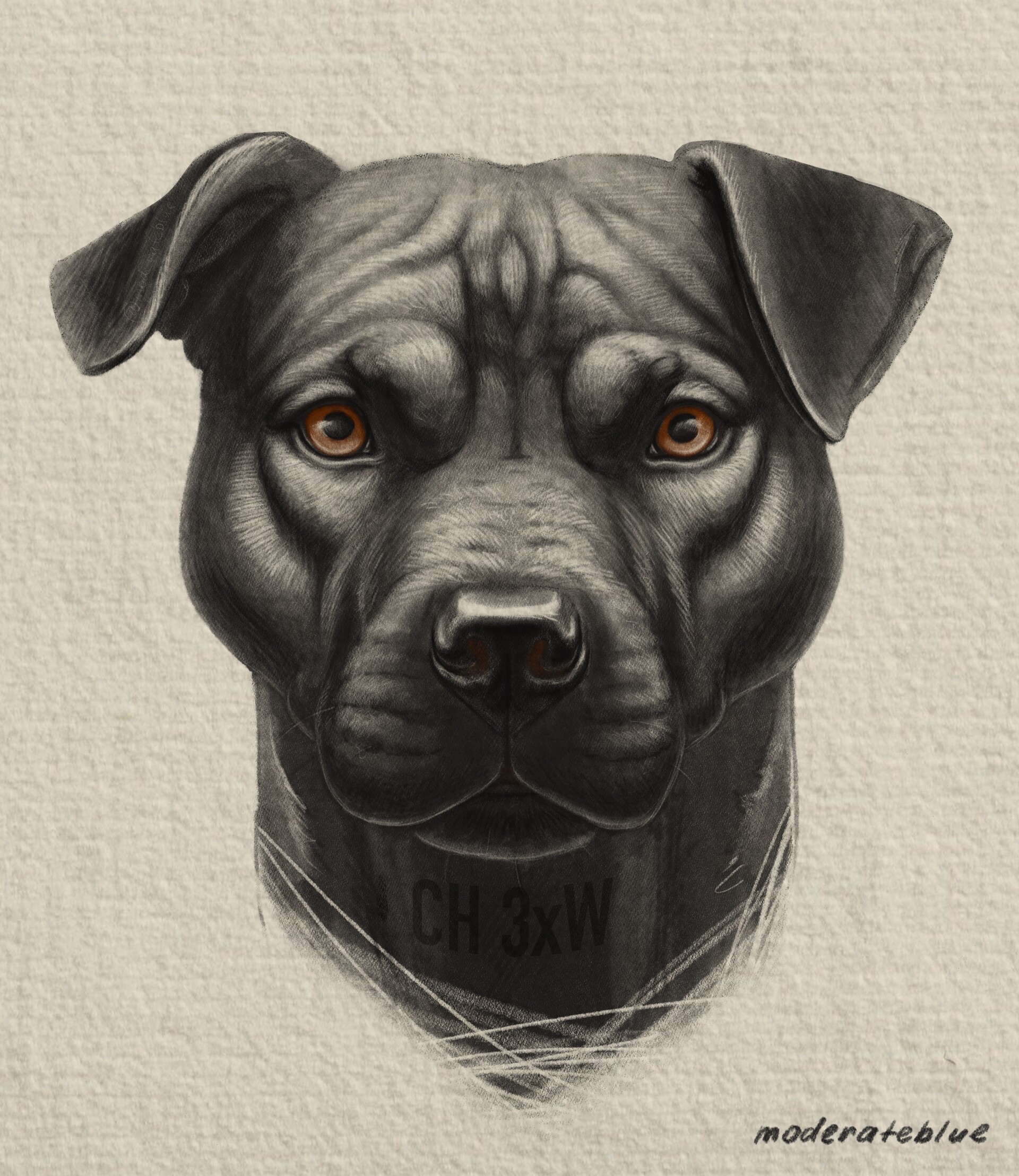 ArtStation - Apbt ǫᴜᴀsᴀʀ ᴋɴʟ's (ʙsᴋ's) ᴊɪʜᴀᴅ ᴄʜ 3xᴡ ʙ.ɪ.s.