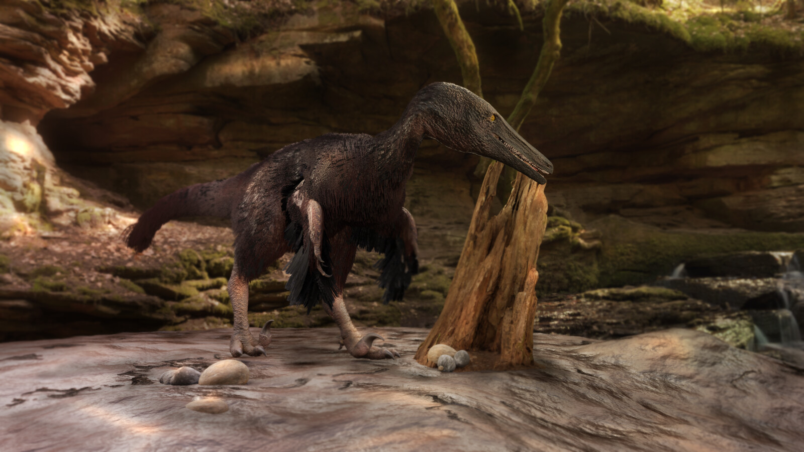 Soul Toonz - Austroraptor cabazai - Paleoart Render