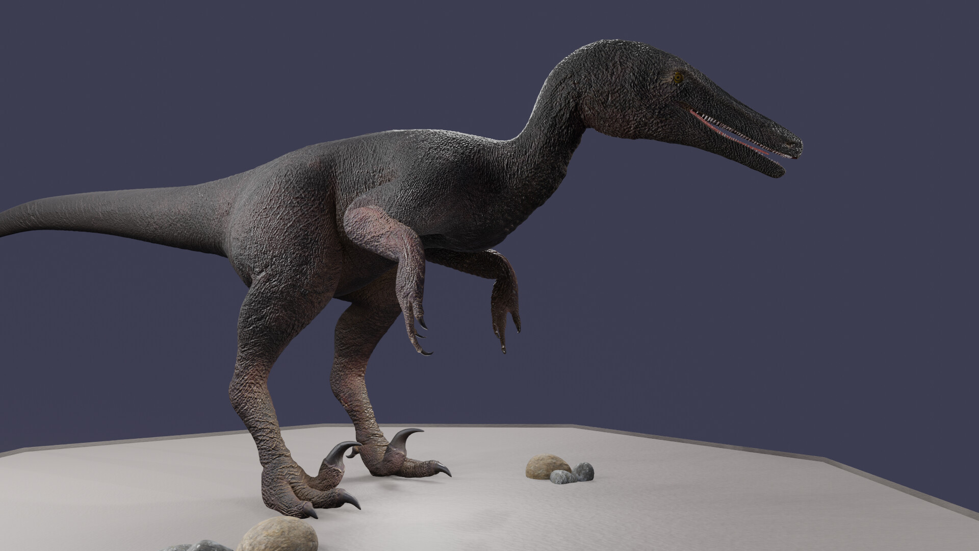 Soul Toonz - Austroraptor cabazai - Paleoart Render