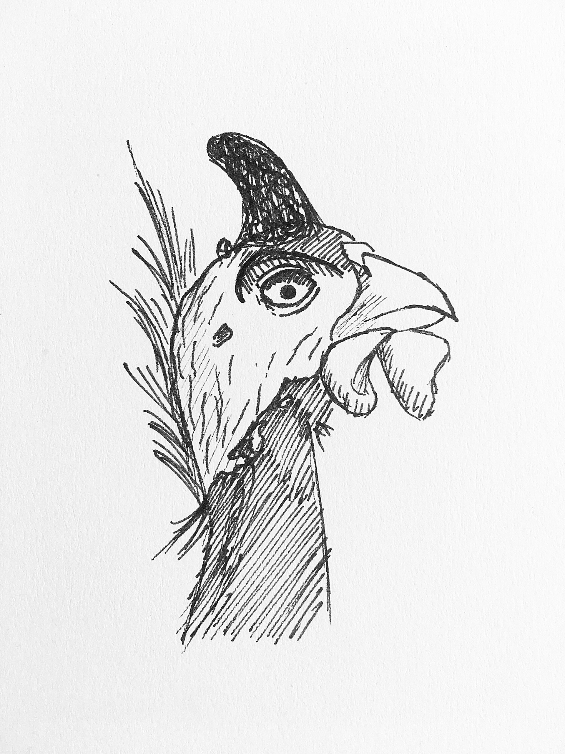 ArtStation - Inktober 2022 | 16. Fowl