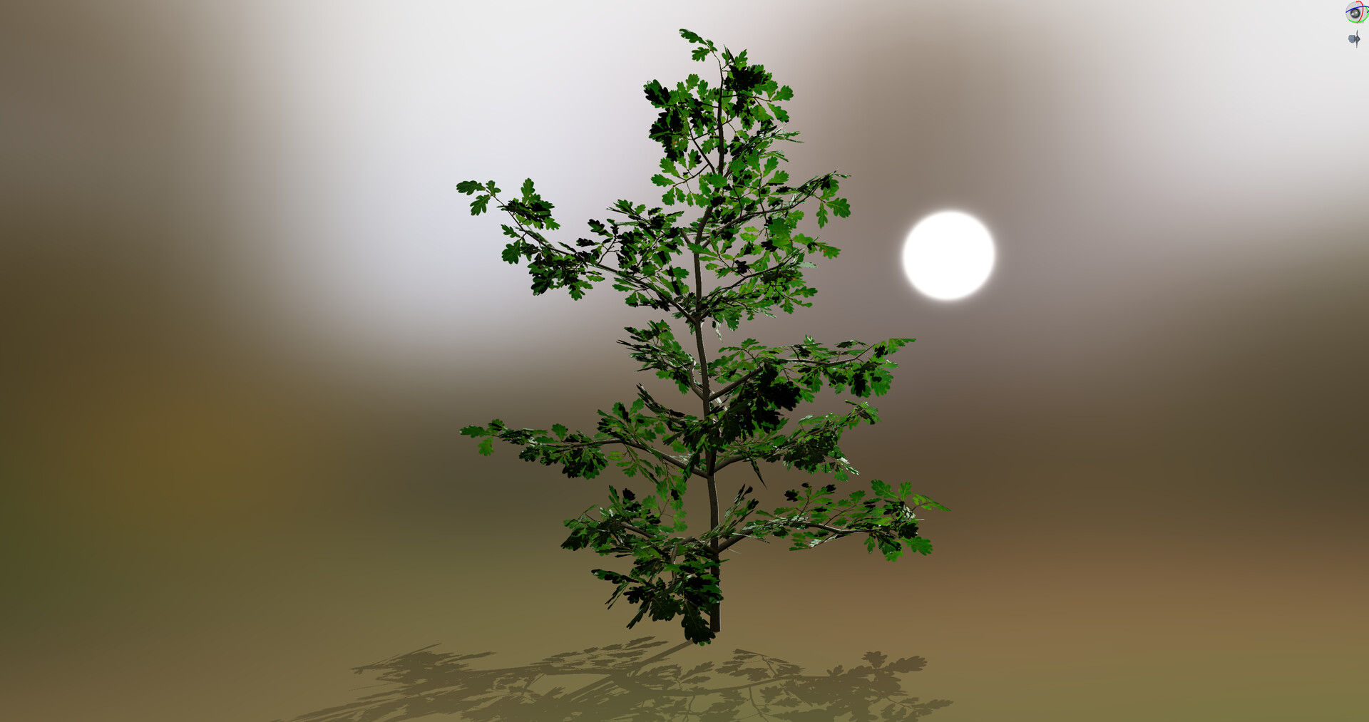 Bodo Schütze - Game Ready Oak Trees 3D Scanned
