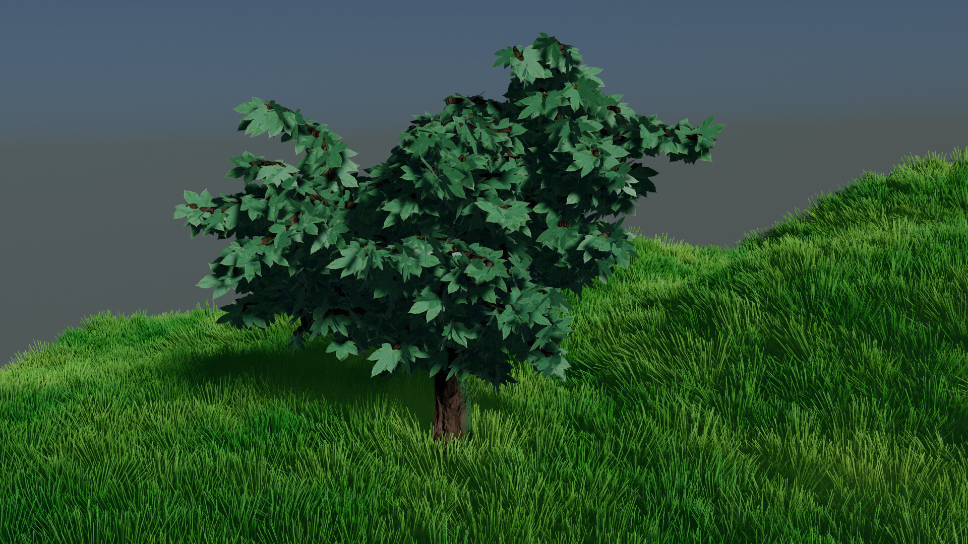 ArtStation - Procedural Tree Generator