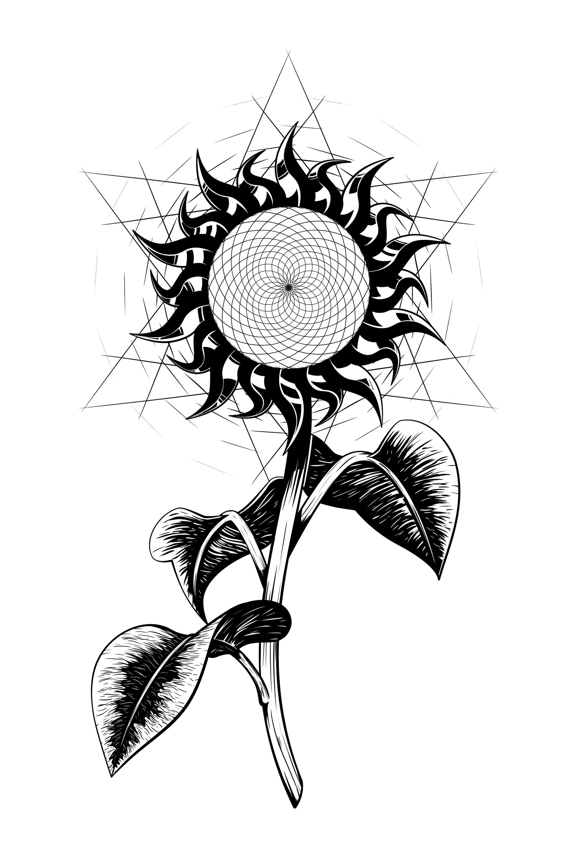 ArtStation - Sunflower/Moonflower