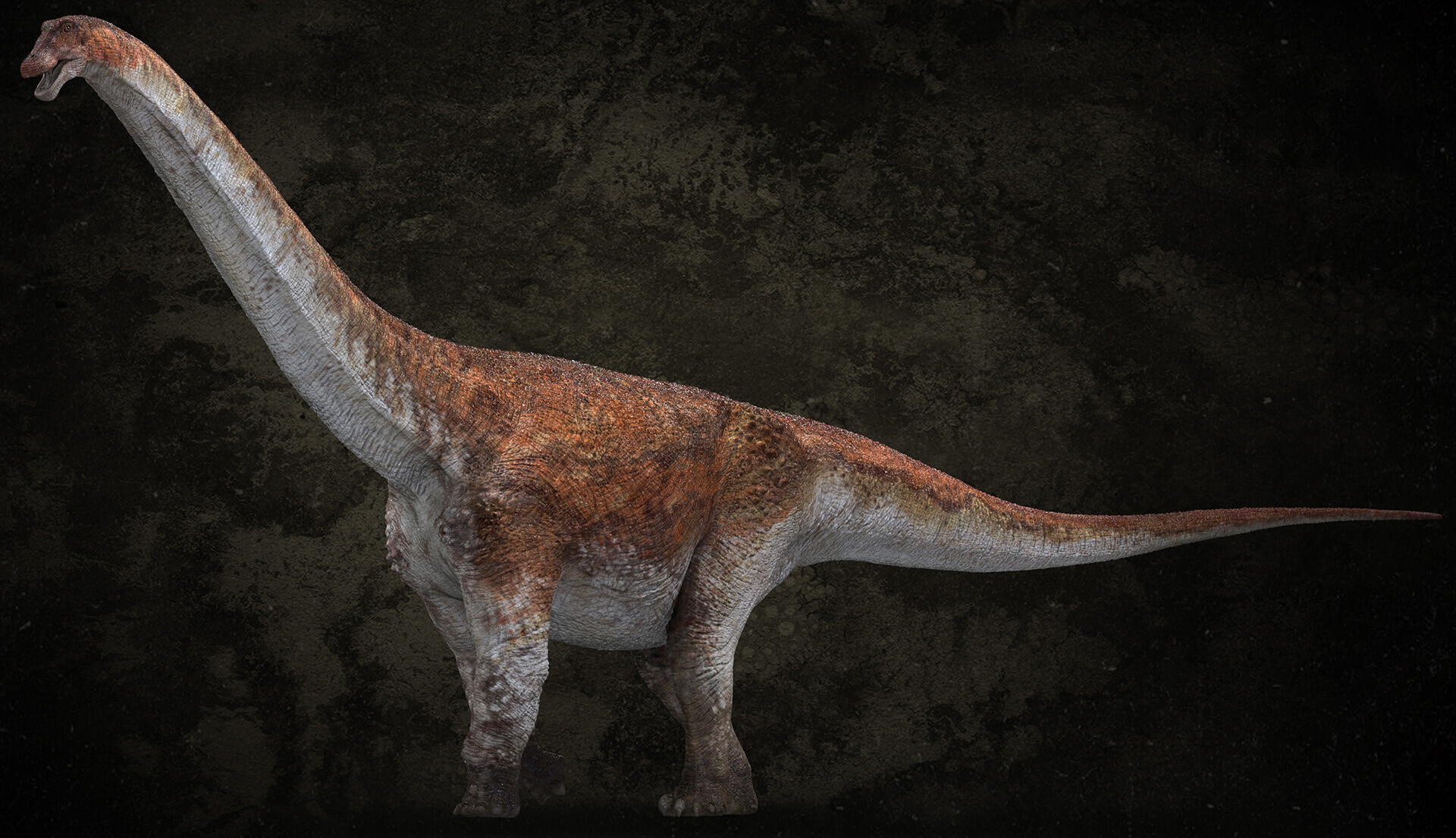 Cheung Chung Tat - Huanghetitan liujiaxiaensi