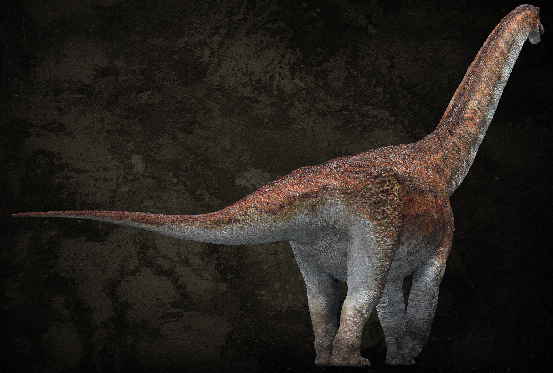 Cheung Chung Tat - Huanghetitan liujiaxiaensi