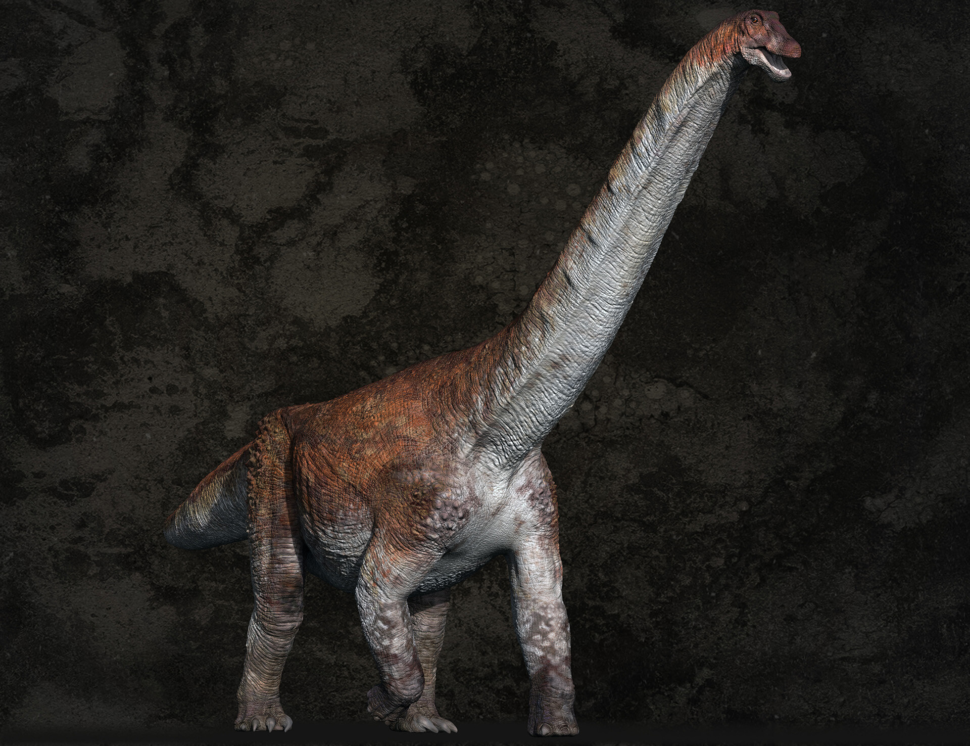 Cheung Chung Tat - Huanghetitan liujiaxiaensi