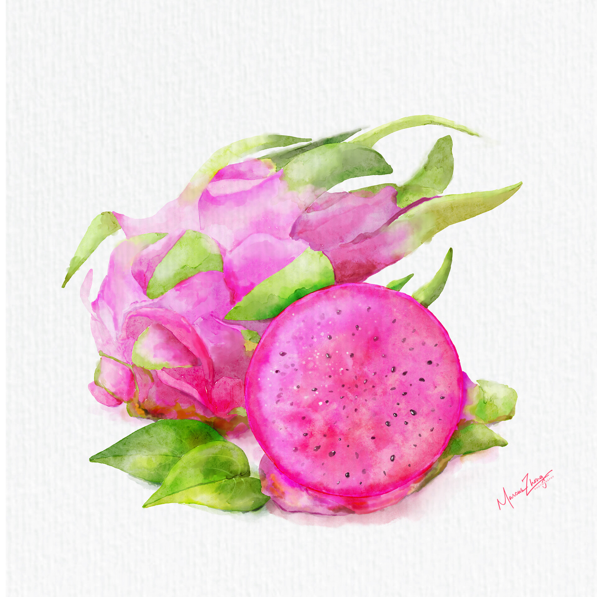 drawing fruit on procreate