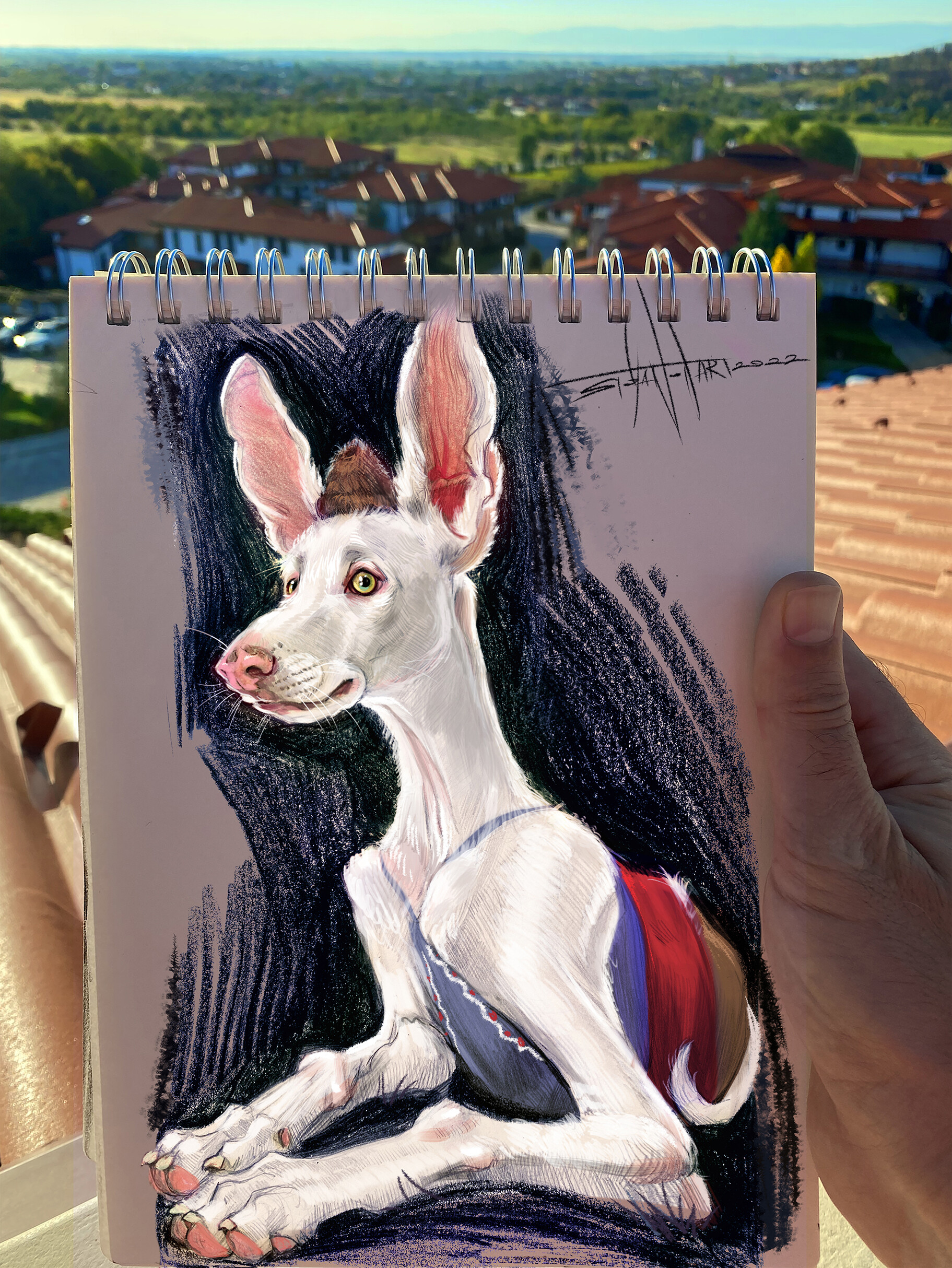 ArtStation - ,,Charo the dog''