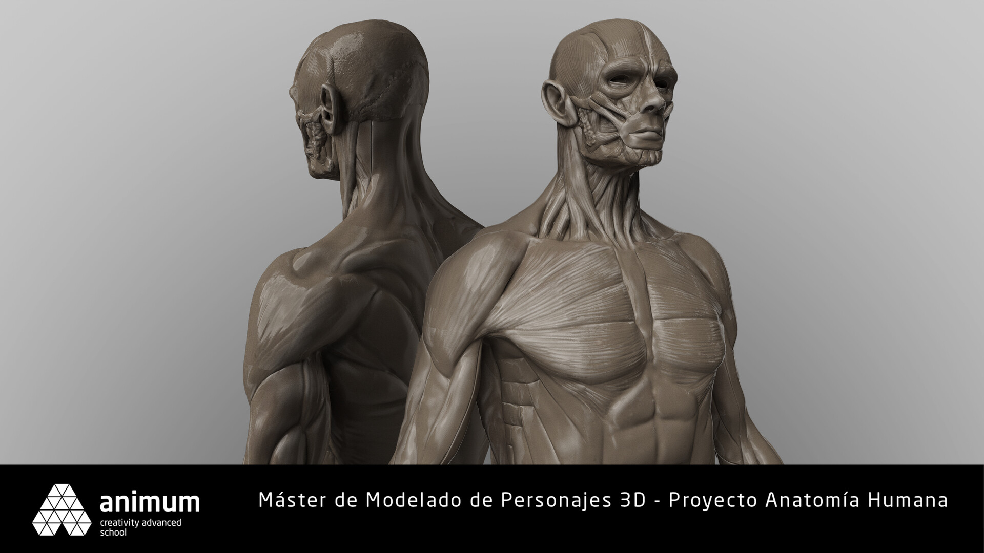 ArtStation - Écorché | Anatomy Study