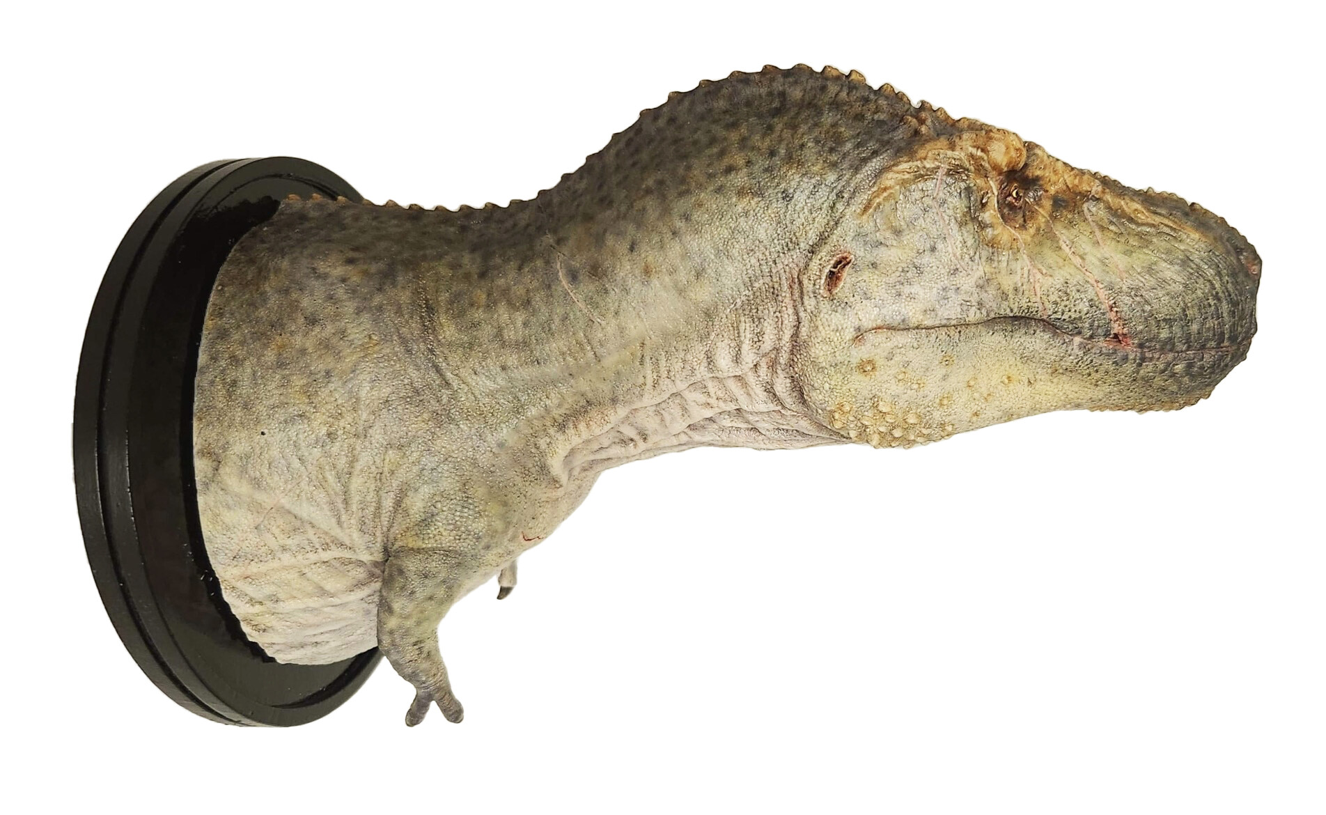 Matt Ramieri - "La Tore" 1:20 Scale Lmited Edition Adult T.rex Portrait ...