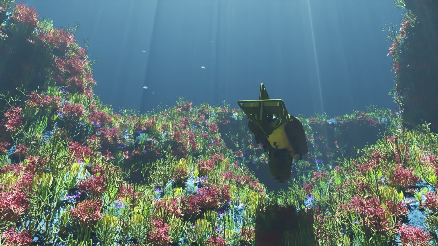 ArtStation - Underwater reefs