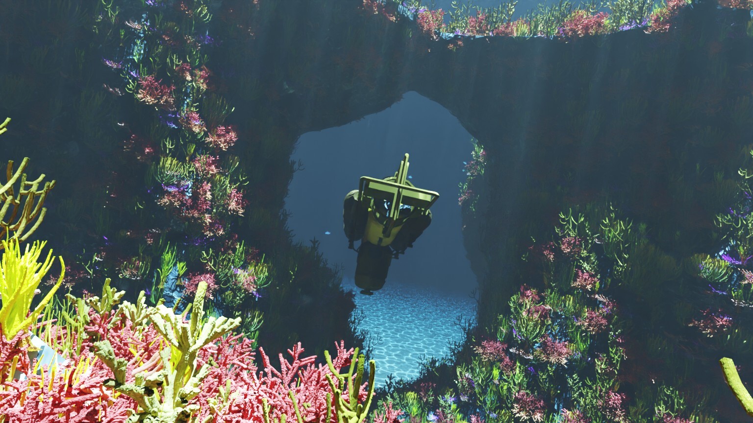 raffy raffy - Underwater reefs