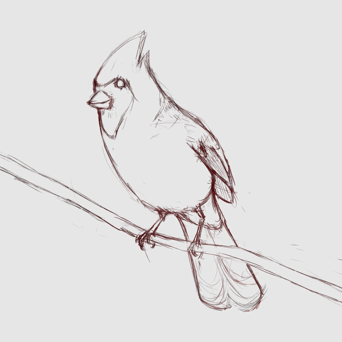 flapjack coloring pages