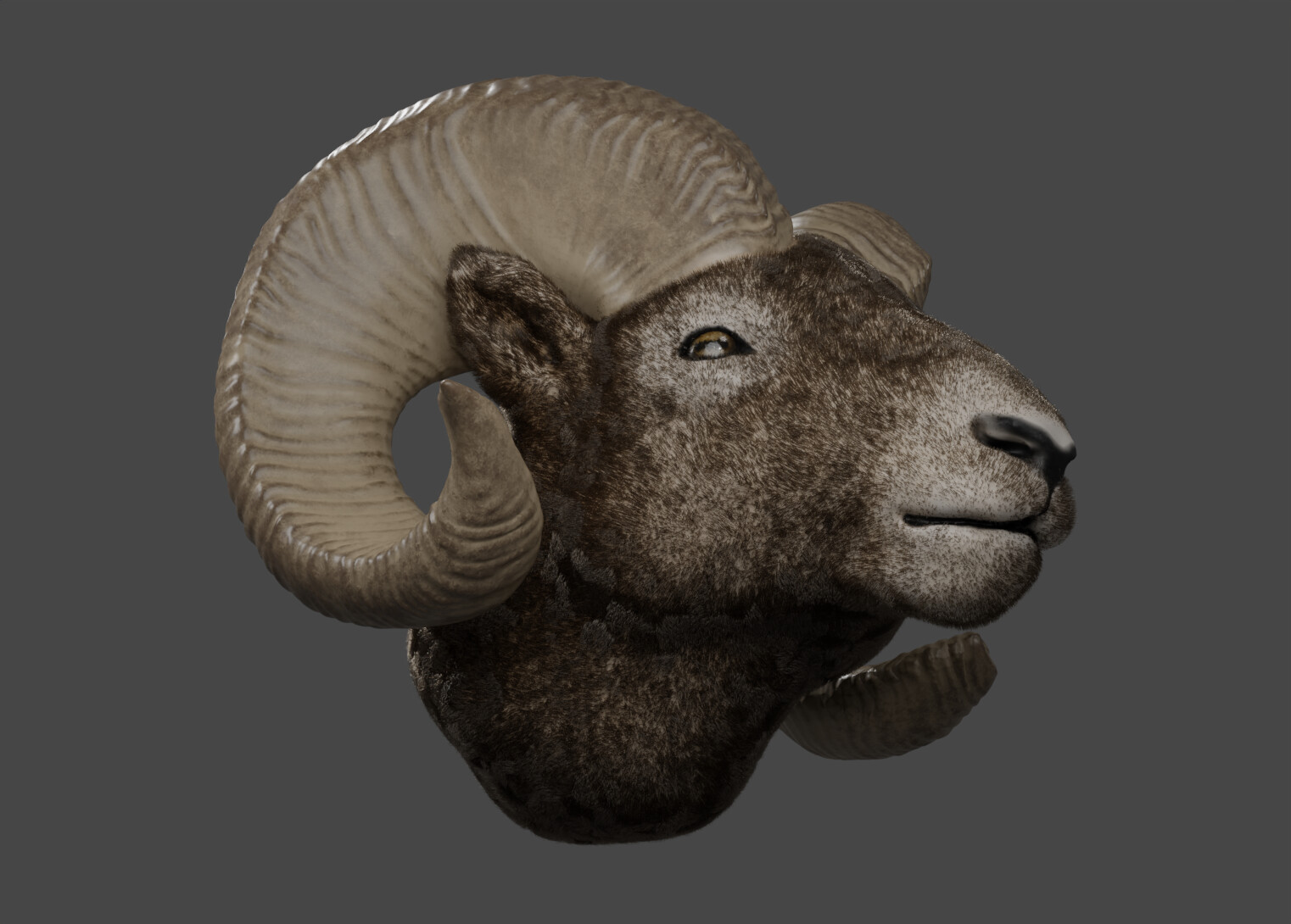 ArtStation - Argali (day 5)