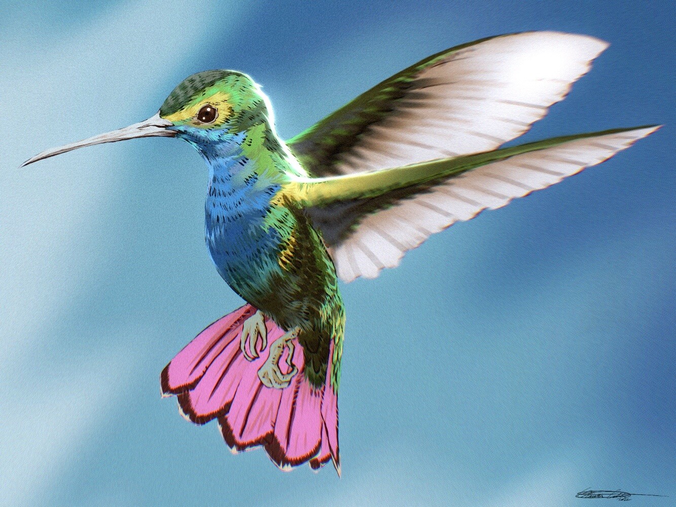 ArtStation - Hummingbird