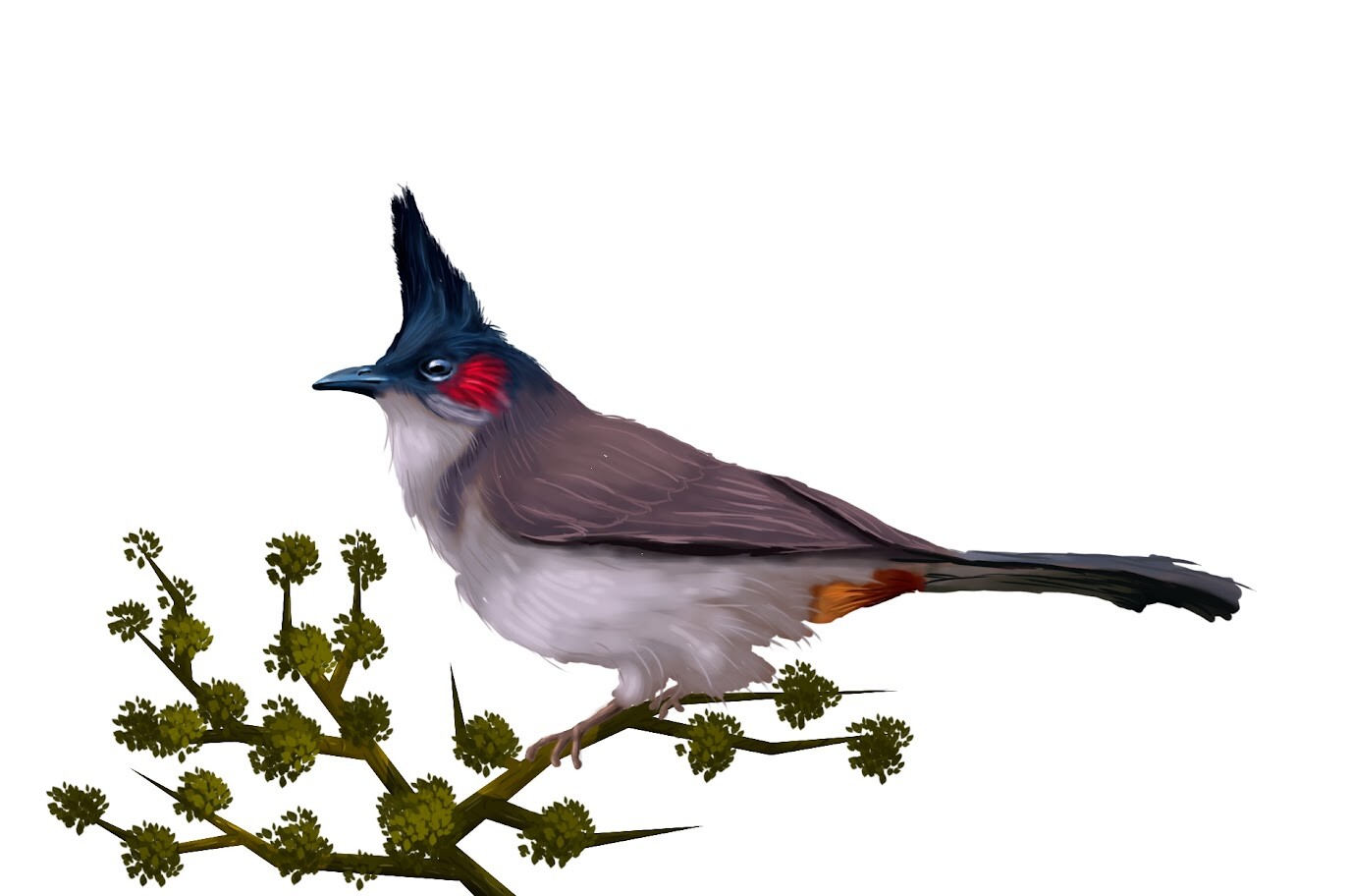 ArtStation - Bird creation