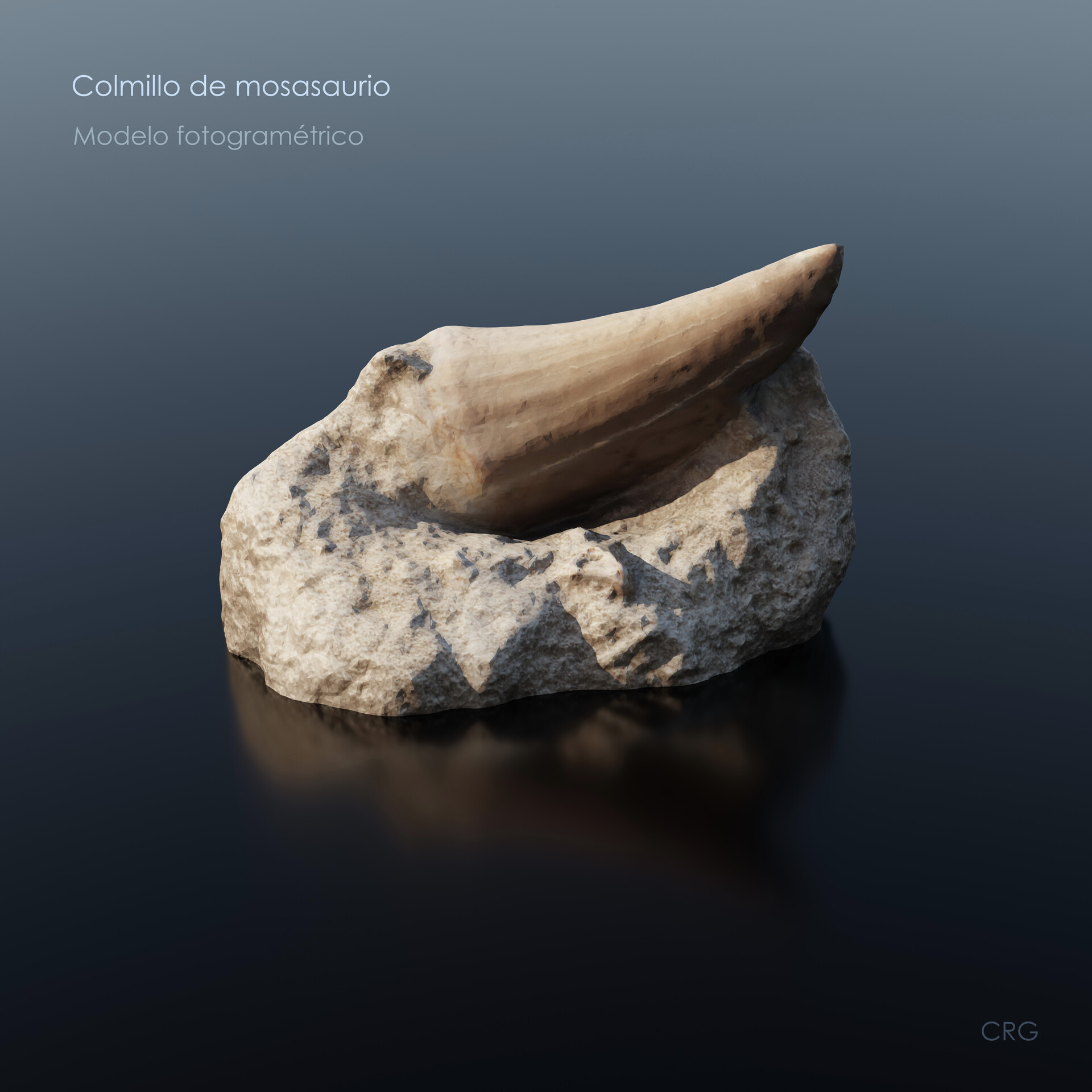 ArtStation - Colmillo de mosasaurio