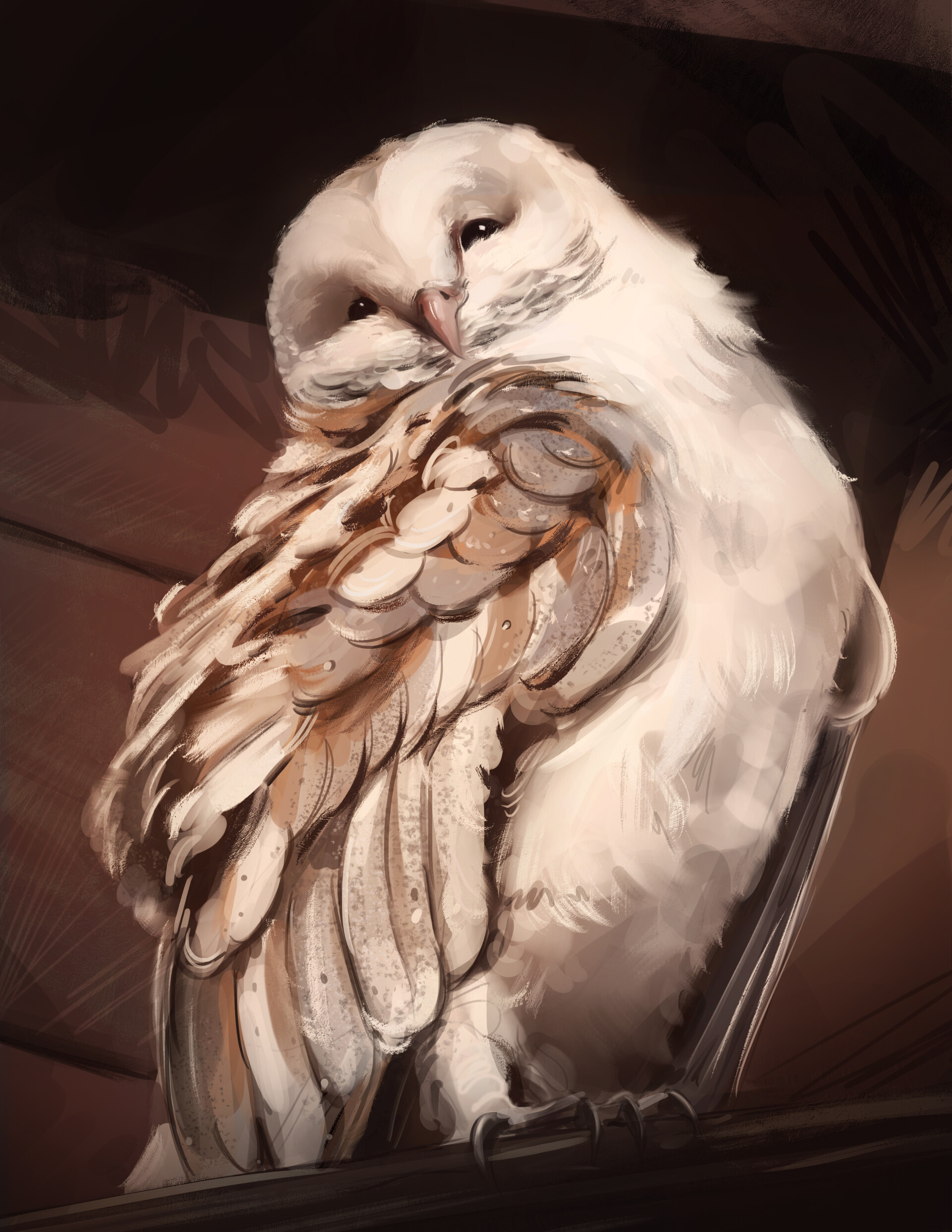 ArtStation - Chonky owl study