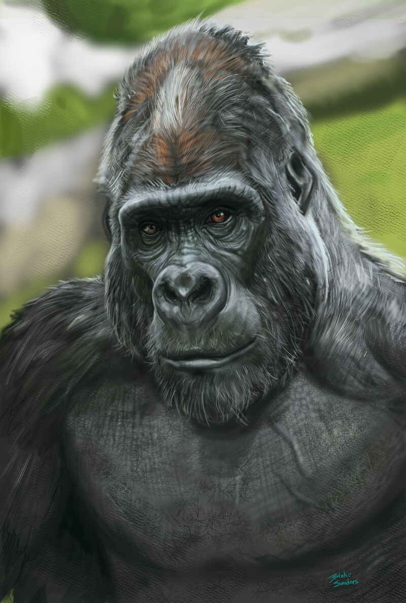 ArtStation - Blake Sanders