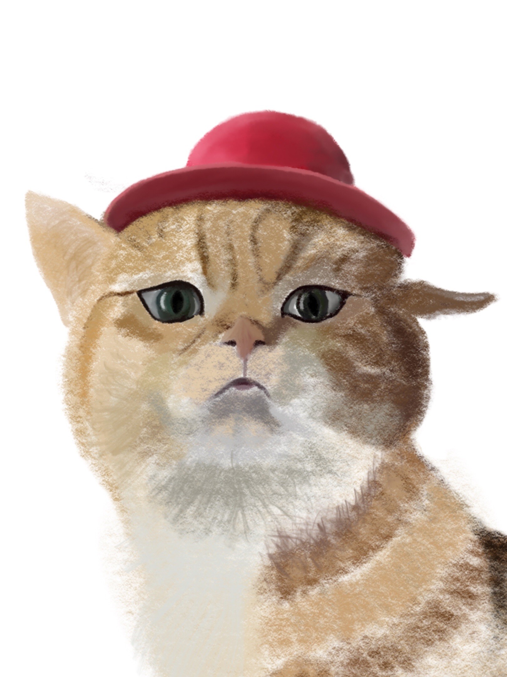 ArtStation - Cat art