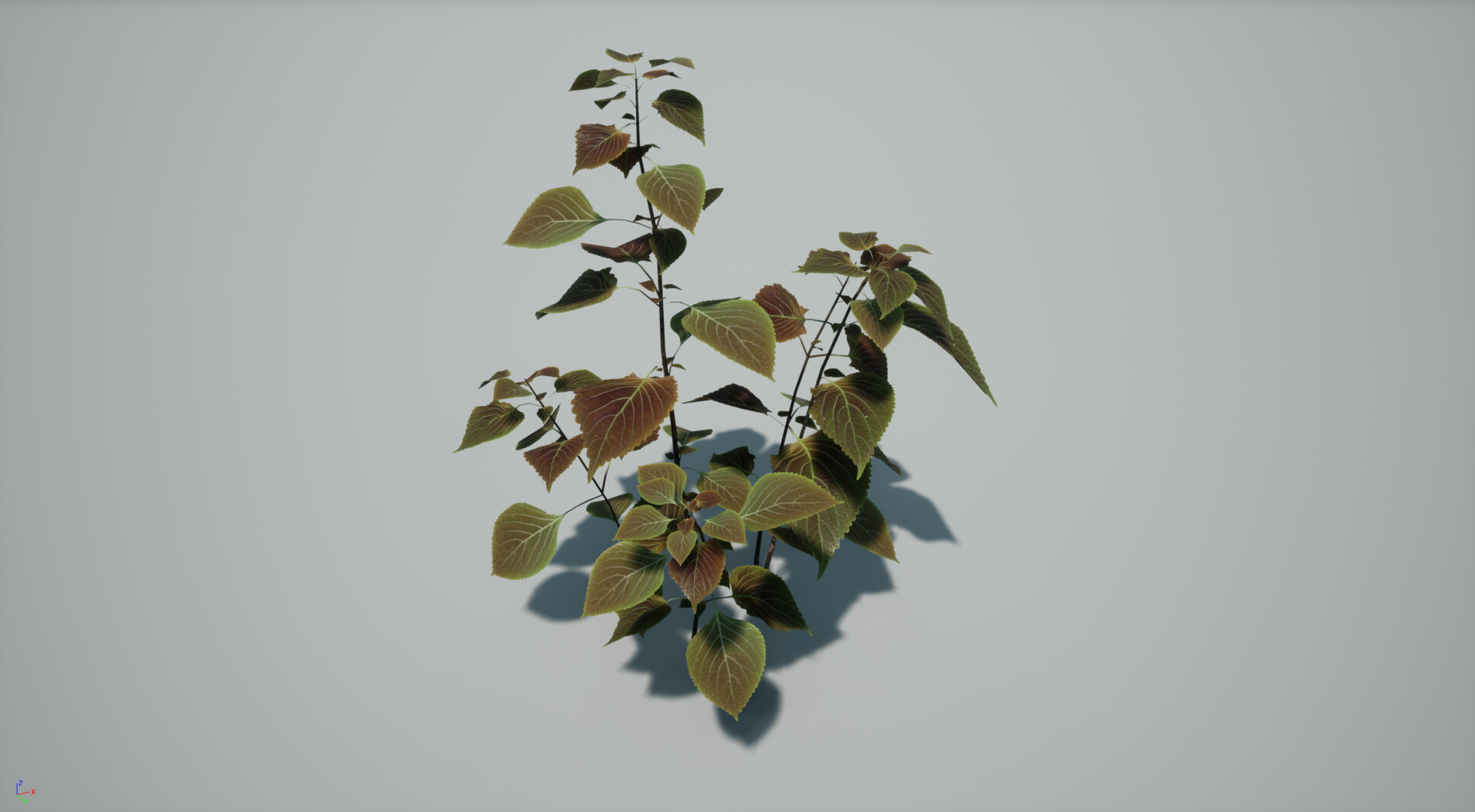 ArtStation - Game - Natural Environment - Plant (SpeedTree)