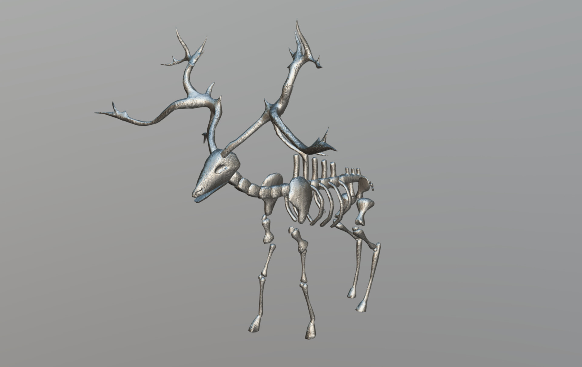 elk skeleton 3d