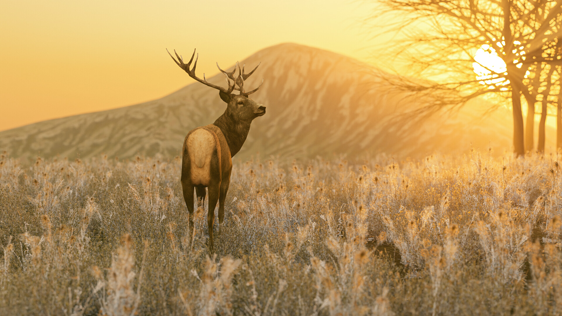 ArtStation - Sunset Deer