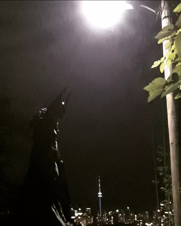 Monarch Batman - Monarch Batman