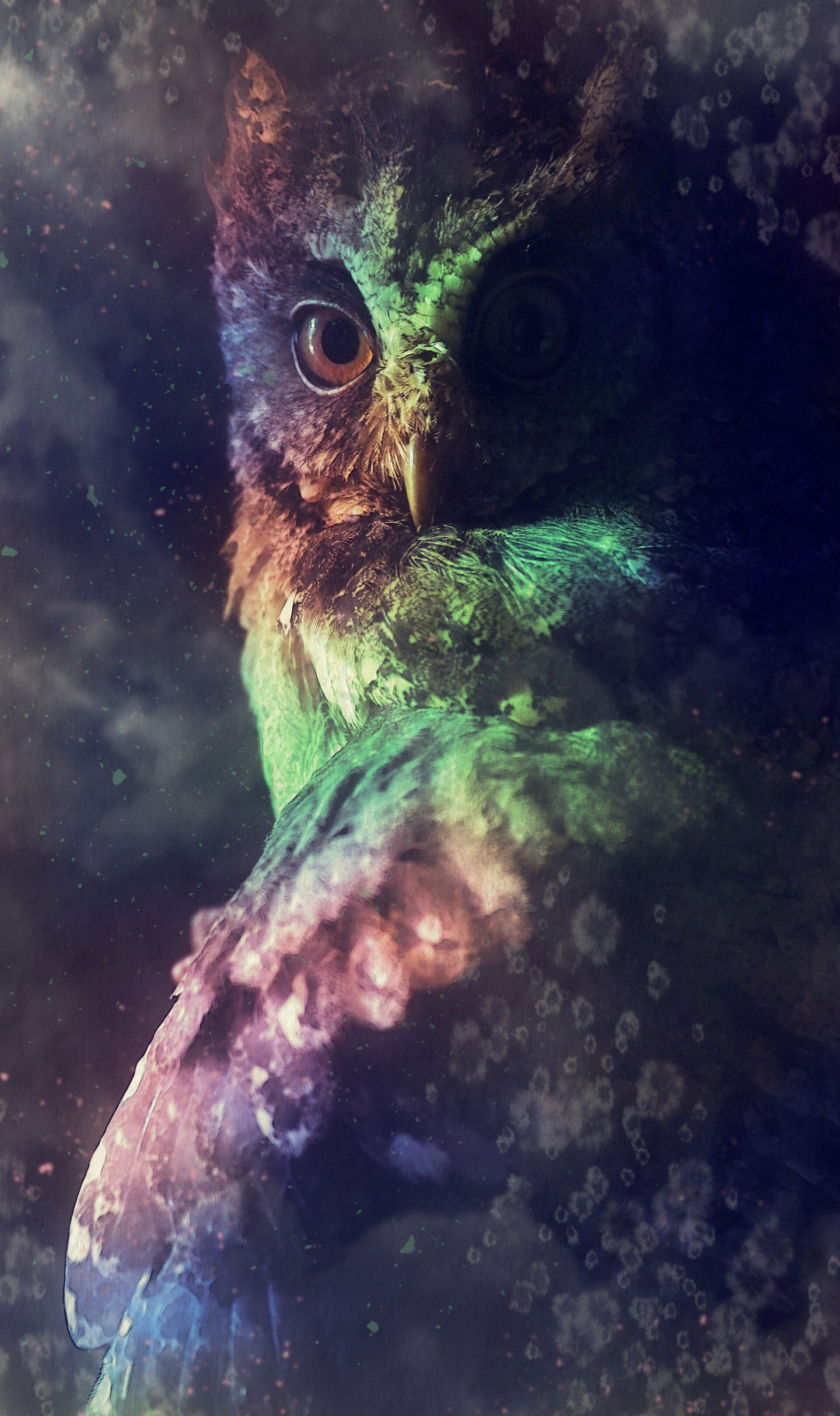 ArtStation - Owl of Color