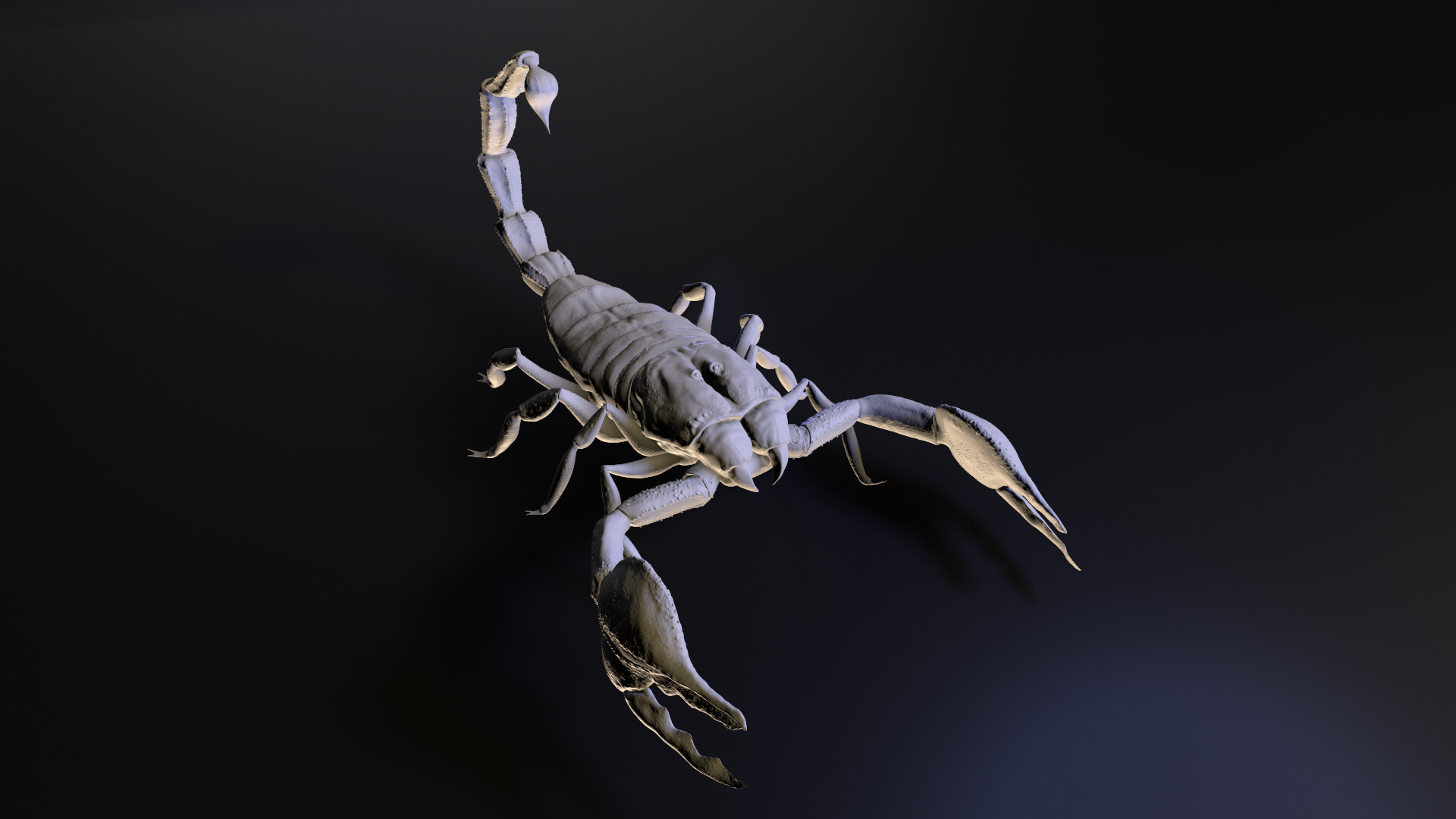 ArtStation - Scorpio
