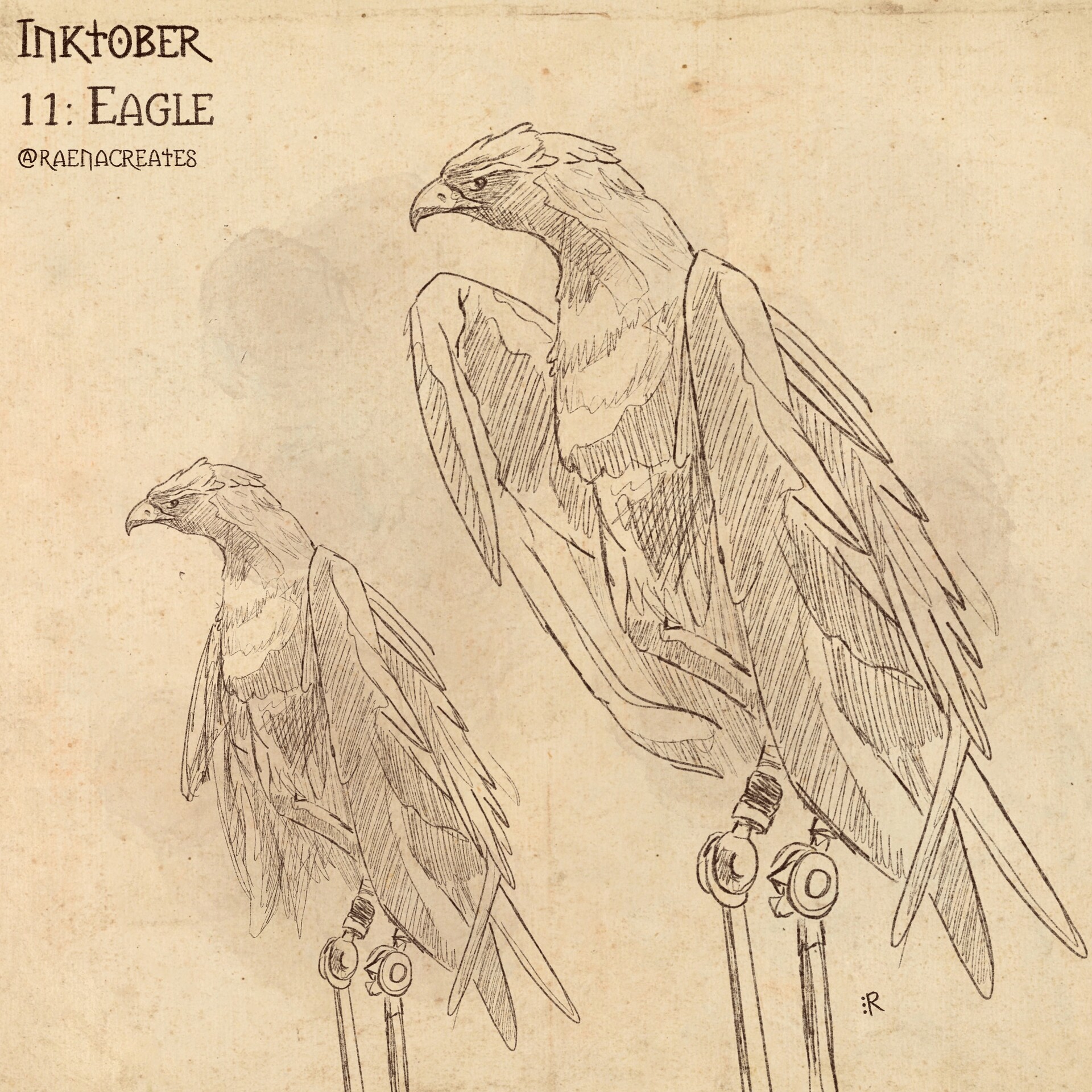 ArtStation - Inktober 11 - Eagle