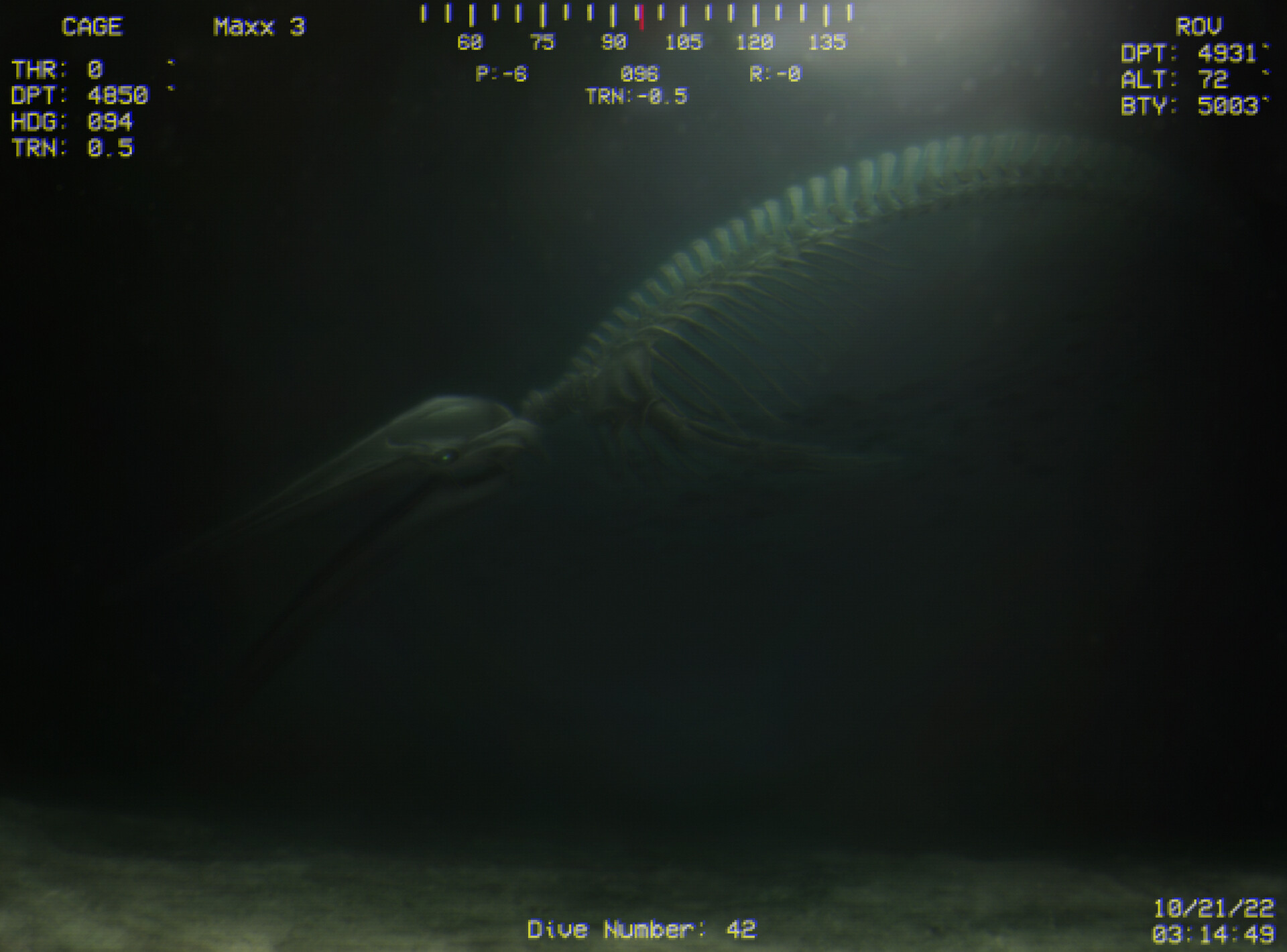 ArtStation - Neath Dark Waters