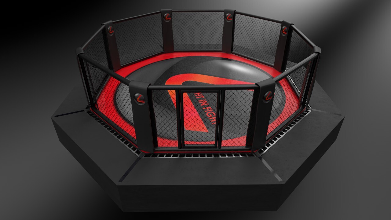 Inside Mma Octagon
