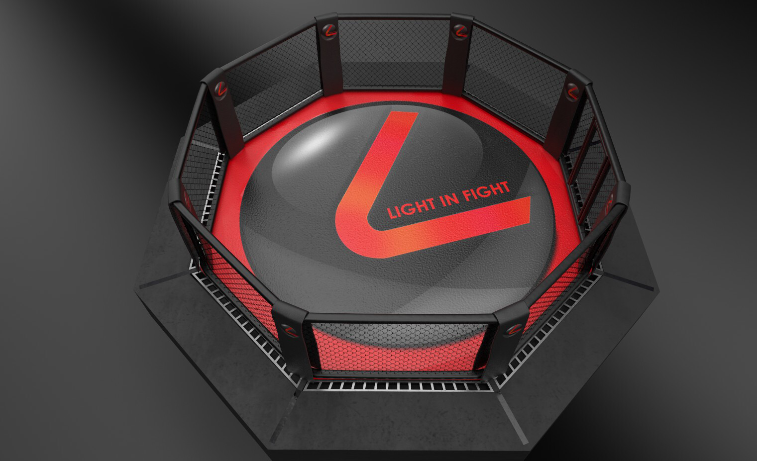 Daniel Prieto - MMA Octagon