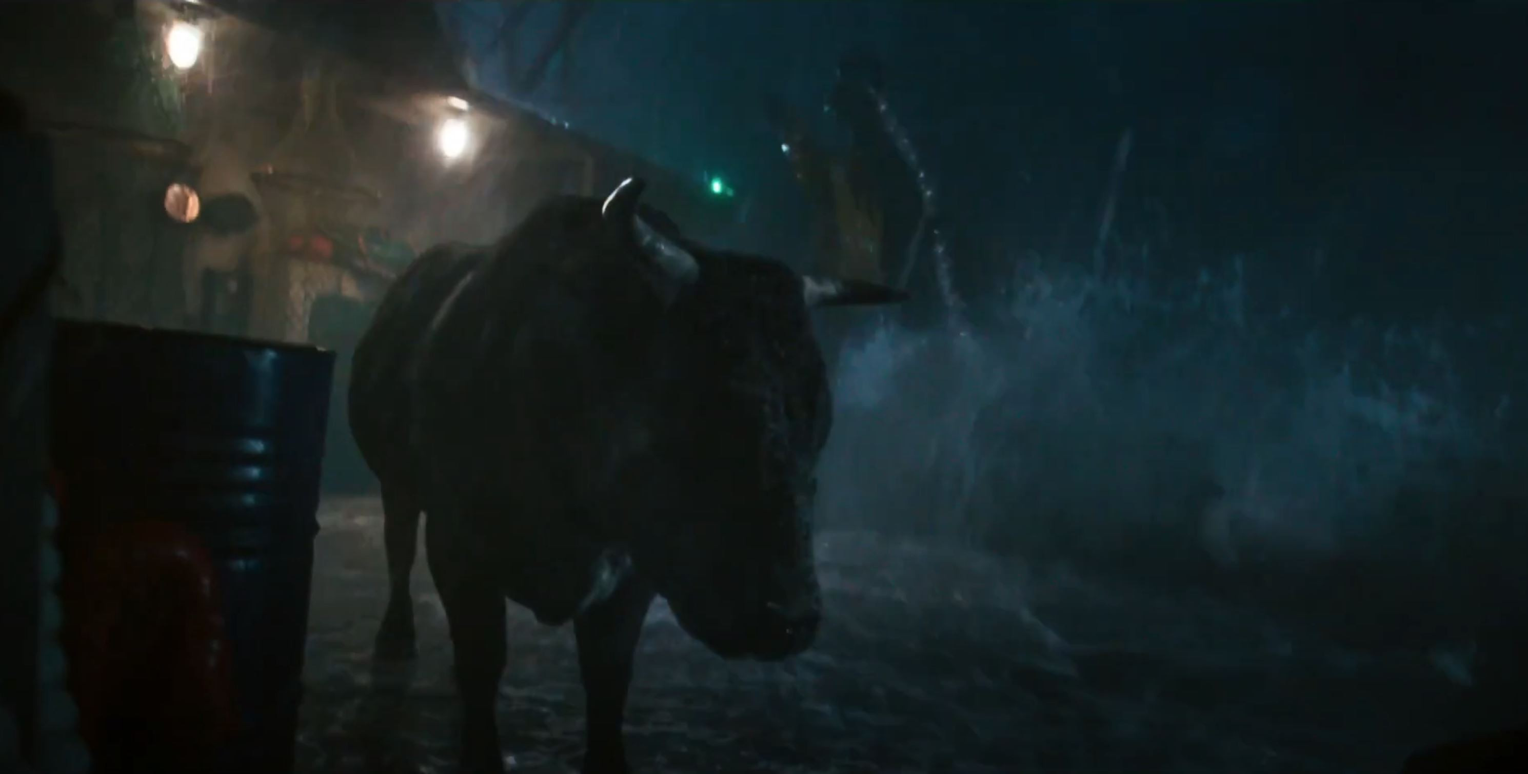 Rob Chapman Portfolio - Untold Studios, MoneySupermarket Bull:Calm ...