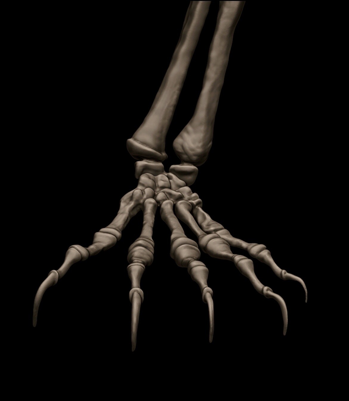 ArtStation - Komodo dragon foot.