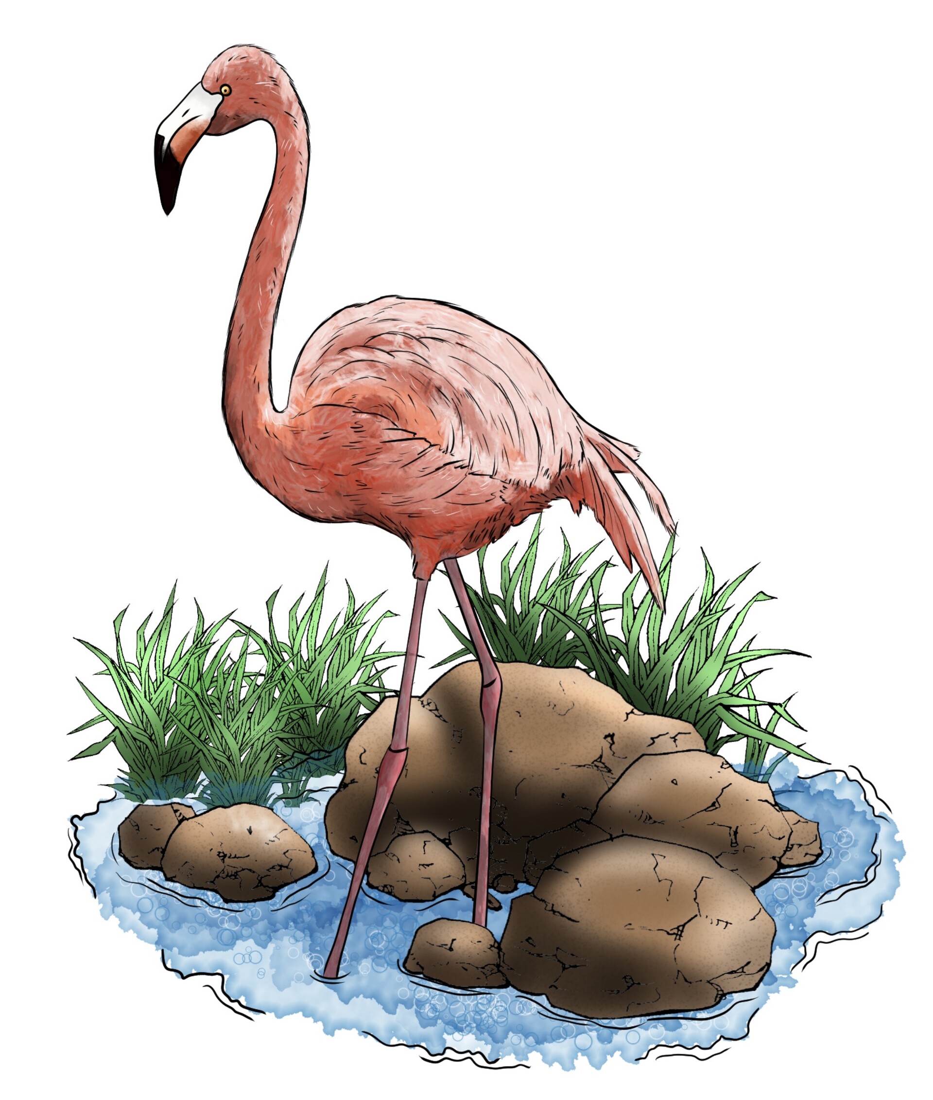 ArtStation - Flamingo