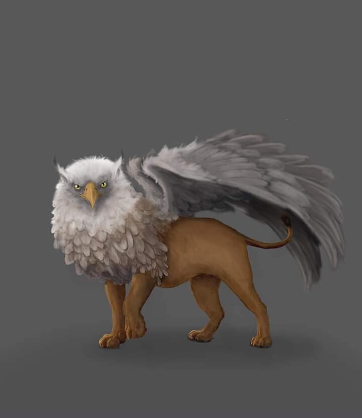 ArtStation - Grifo