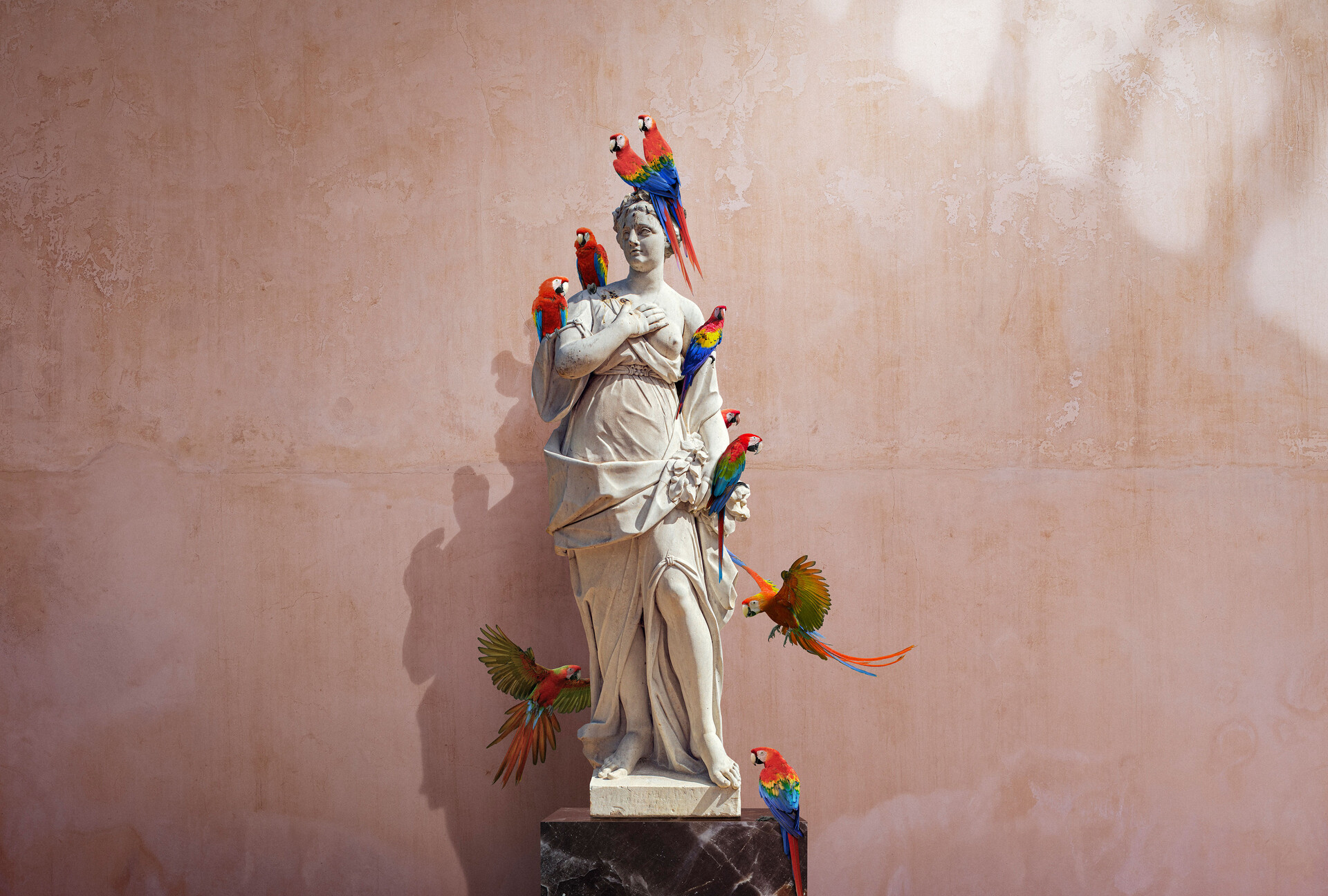 ArtStation - RED-TAIL PINK GREEK BIRD MOB