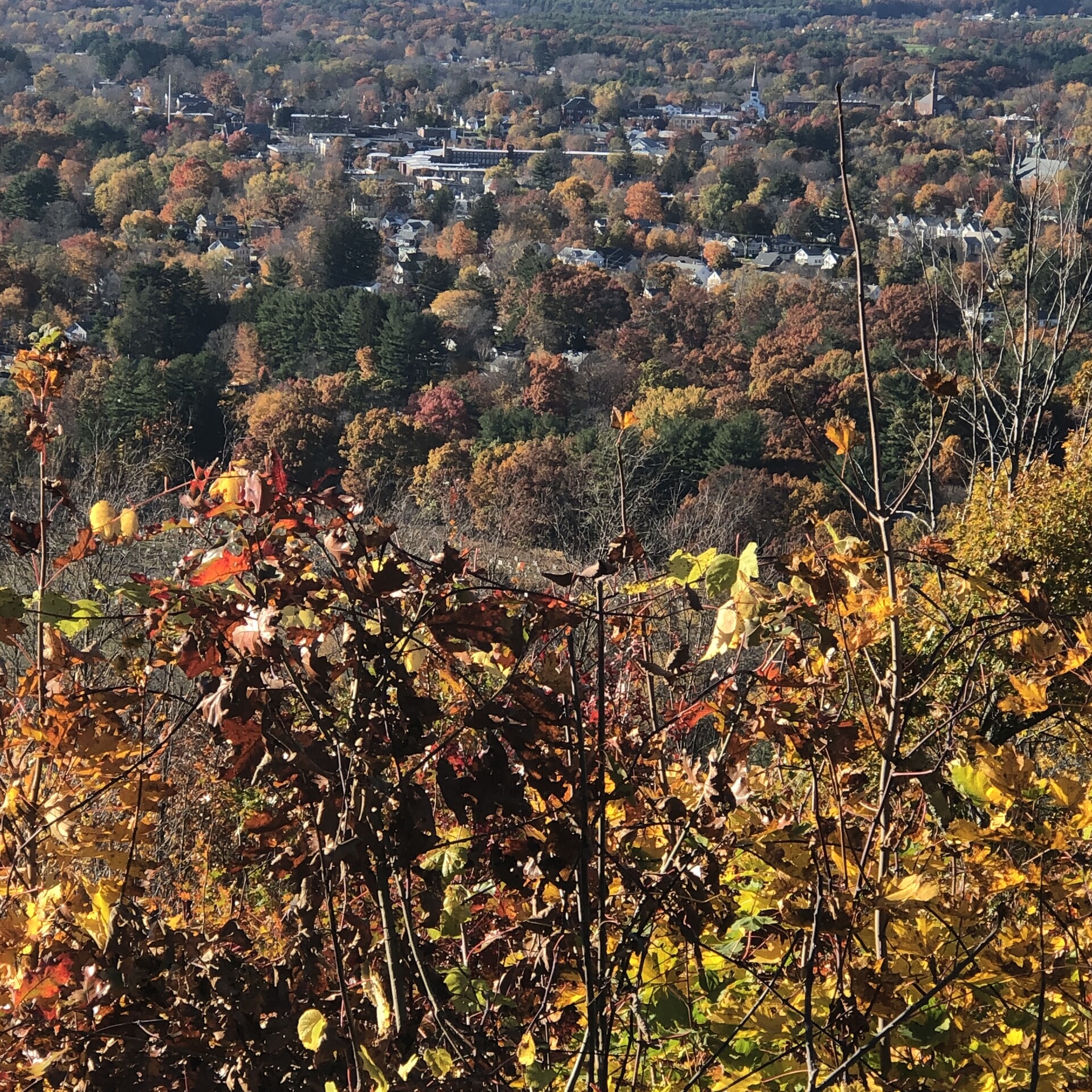 ArtStation - Fall Mood board photo shoot shot