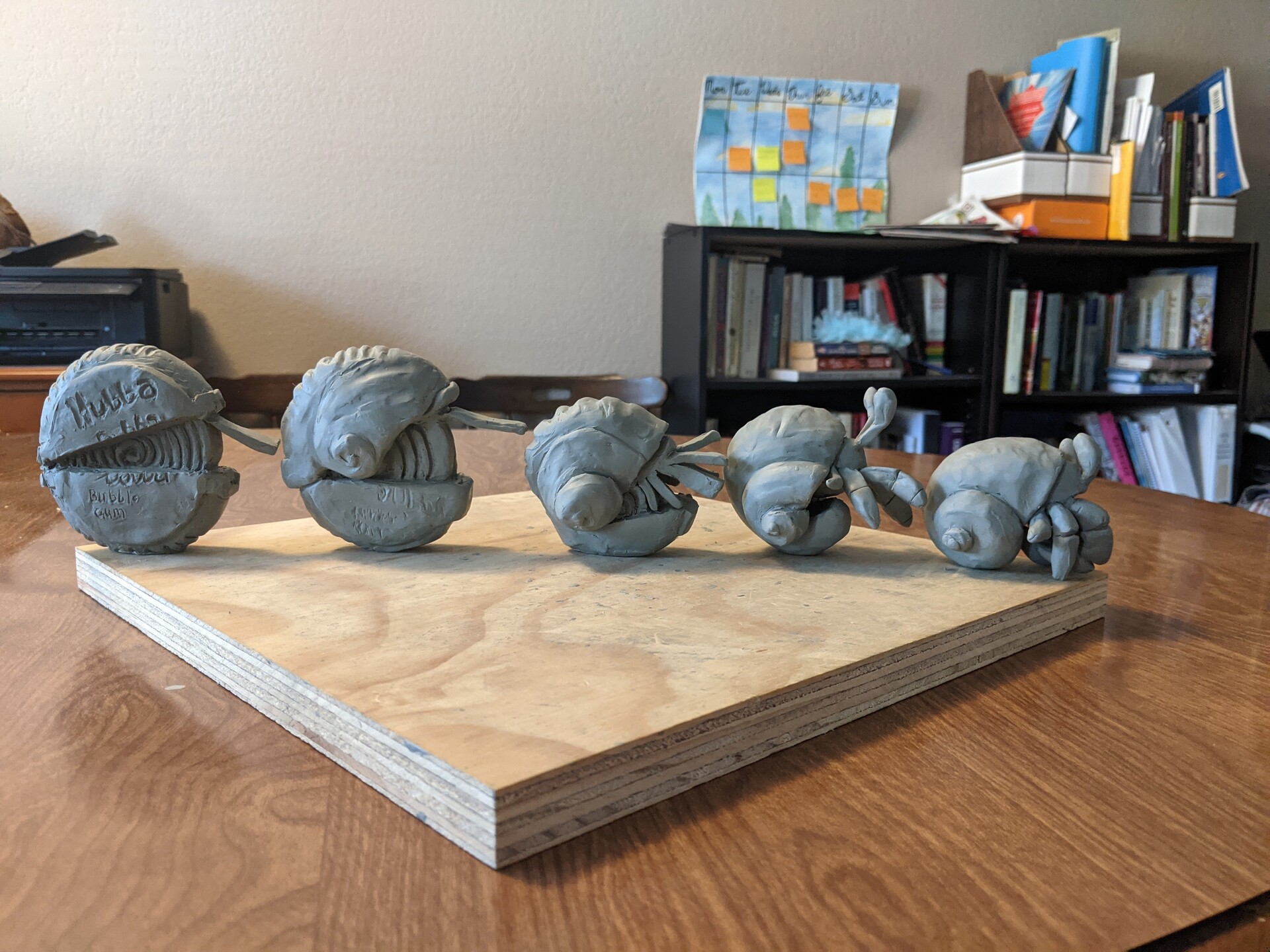 Metamorphosis Project