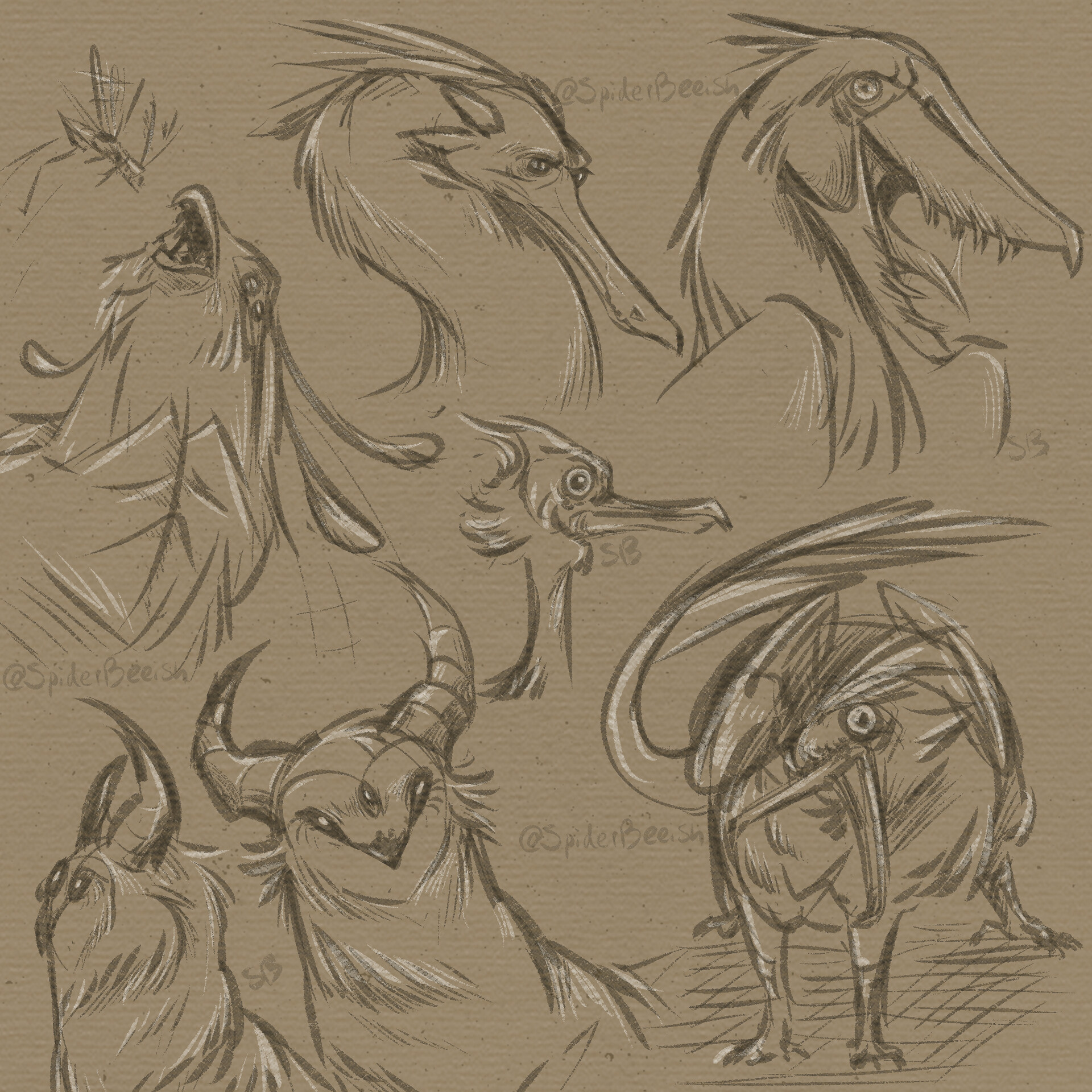 ArtStation - Bird Dragons